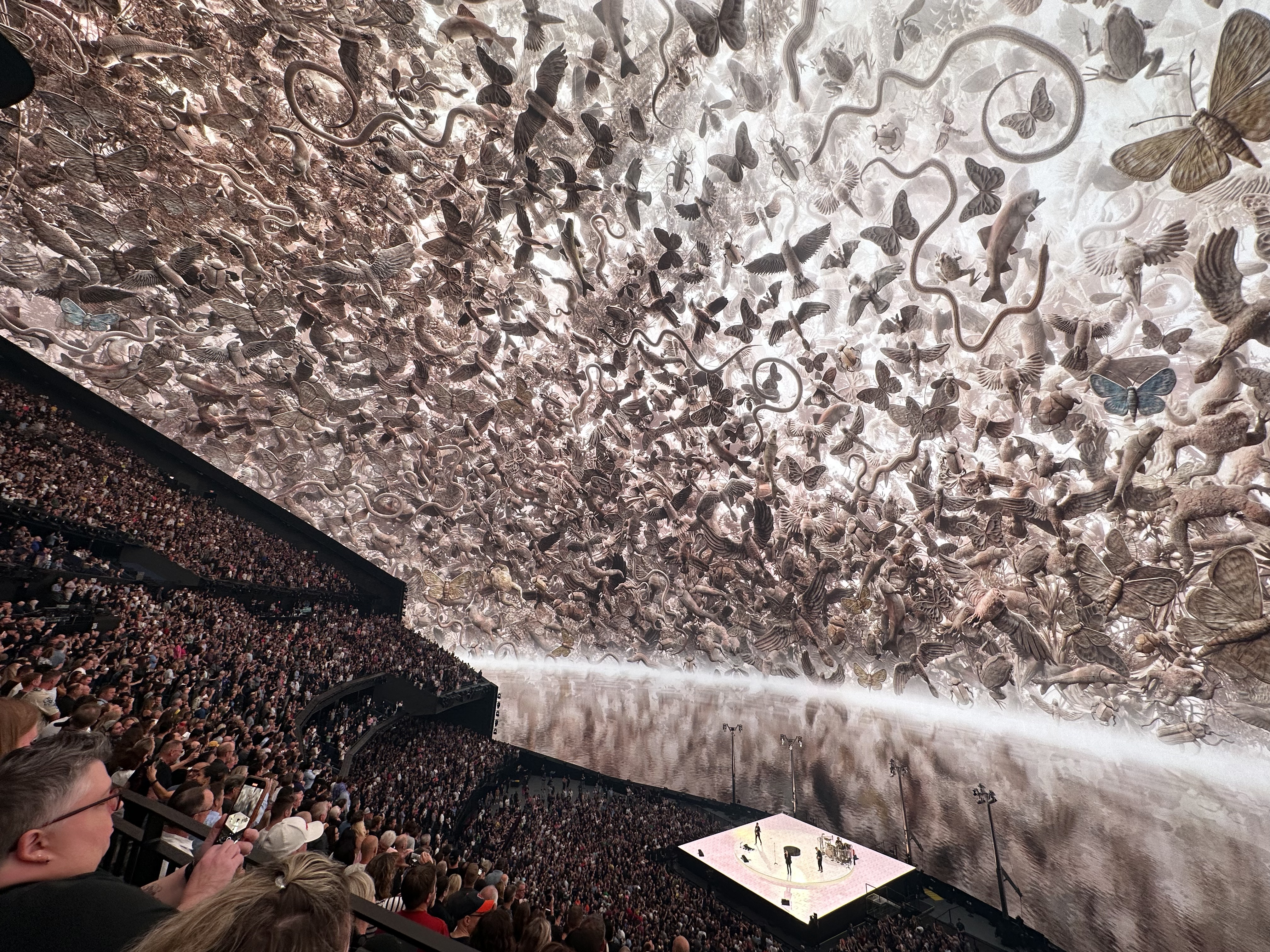 U2 at the Sphere in Las Vegas – My Wandering Wheels